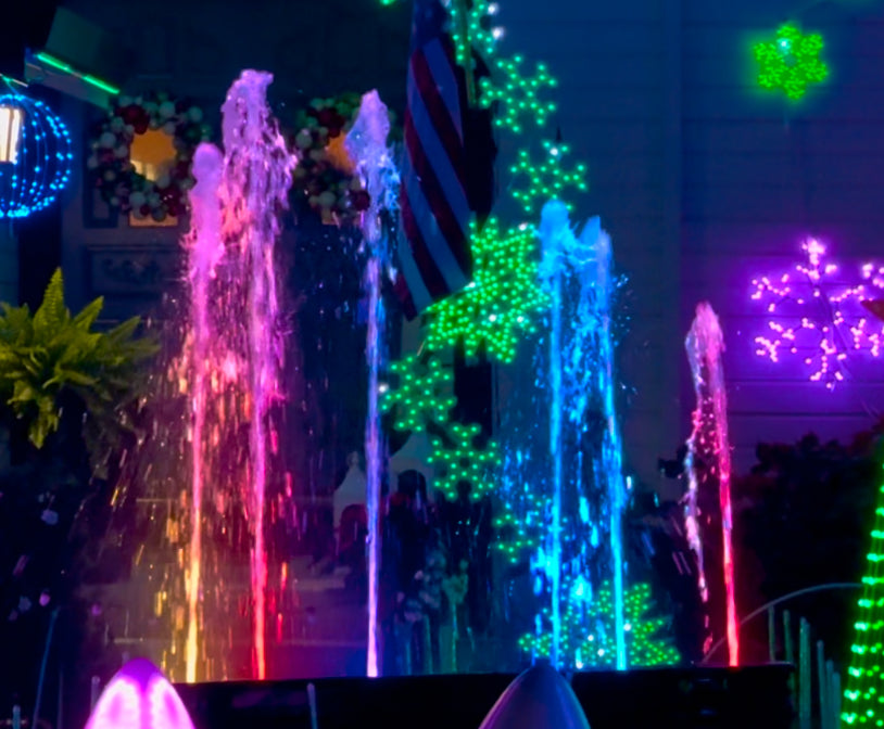 Phoenix Ray DMX RGB Fountain Pump – Variable Speed Stainless Steel ...